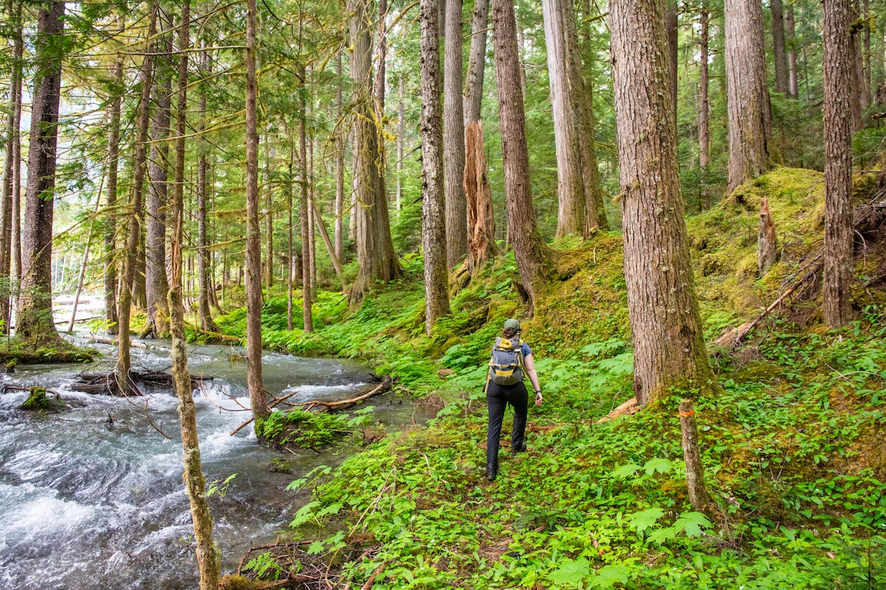 Saugstad Glacier Trail | Bella Coola Trails Alliance