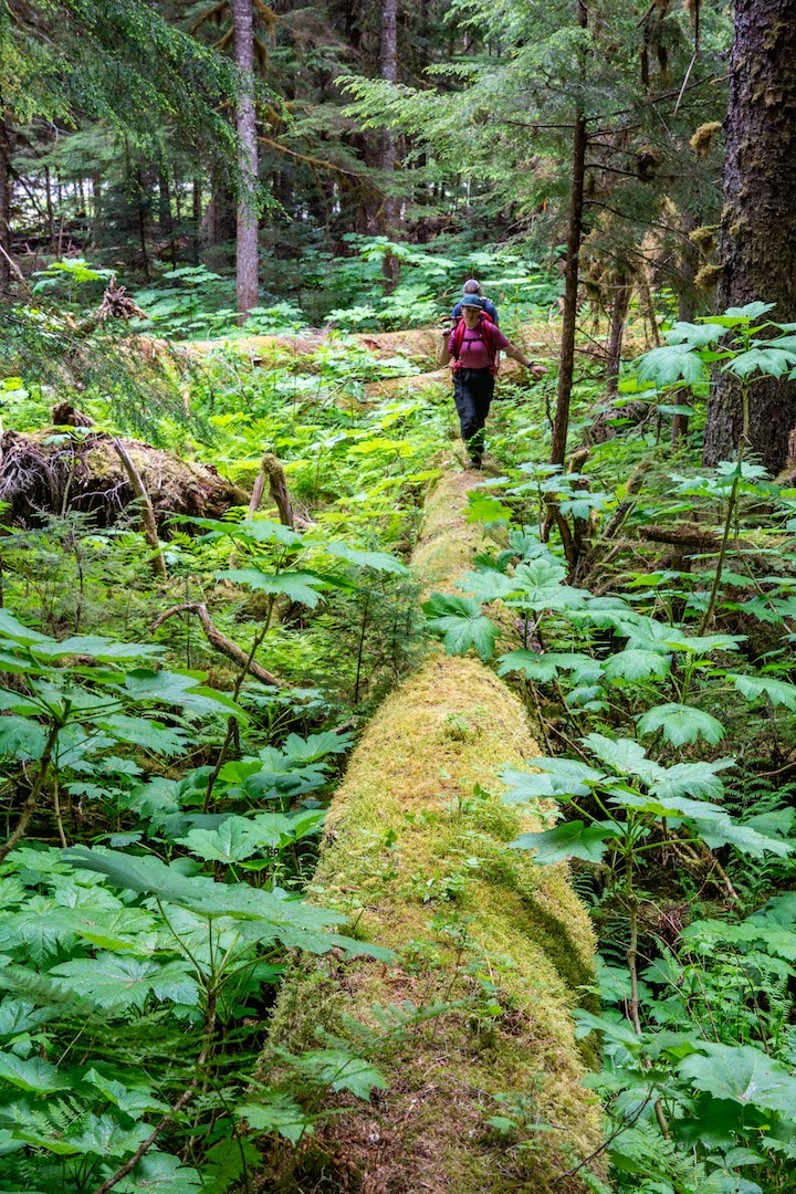 Saugstad Glacier Trail | Bella Coola Trails Alliance