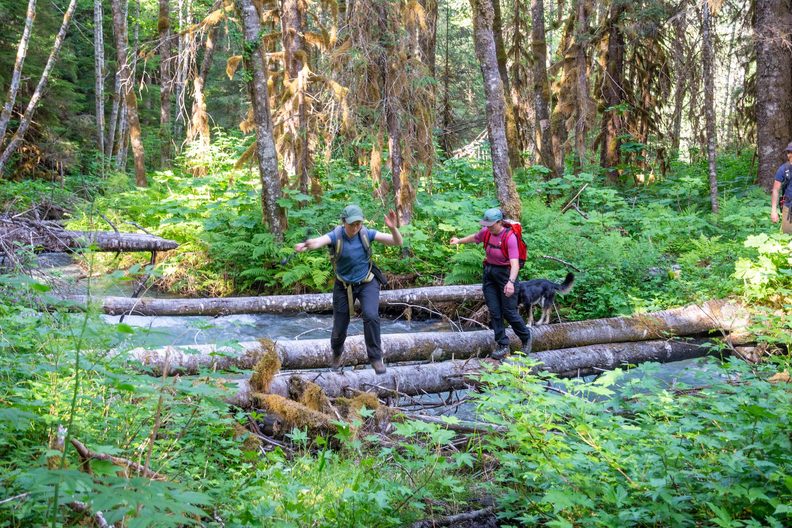 Saugstad Glacier Trail | Bella Coola Trails Alliance