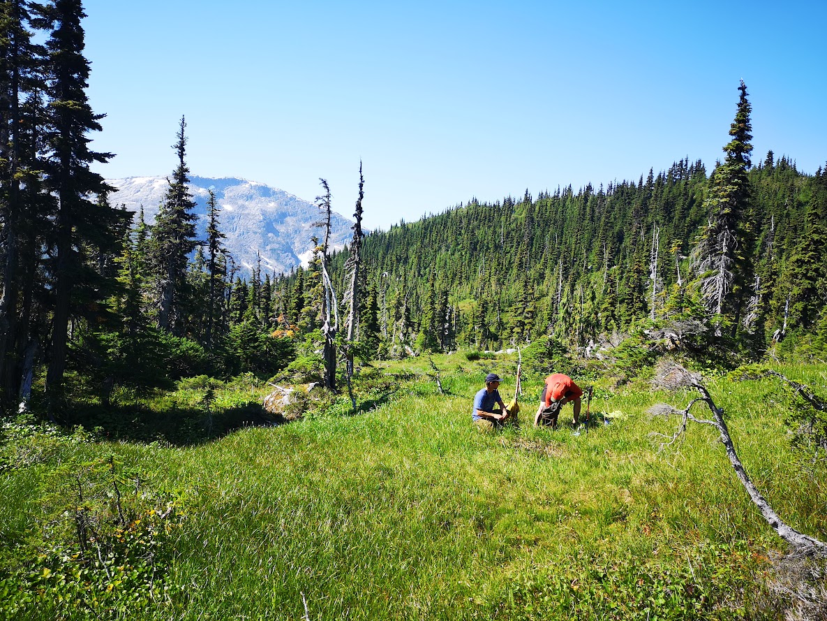 Goat Circuit (4 Mile ridge to Goat ridge via Goat peak) | Bella Coola ...