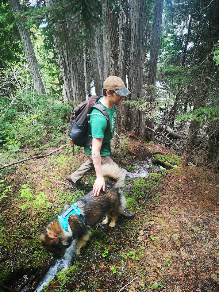 Goat Ledge > Goat Ridge circuit | Bella Coola Trails Alliance