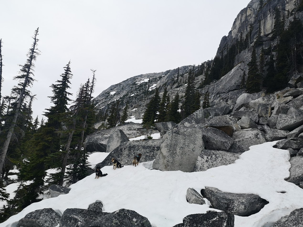 Goat Ledge > Goat Ridge circuit | Bella Coola Trails Alliance